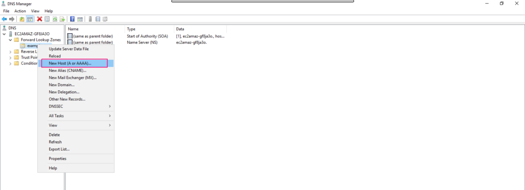 Step By Step to add DNS A/PTR Record in windows server 2019 base ...