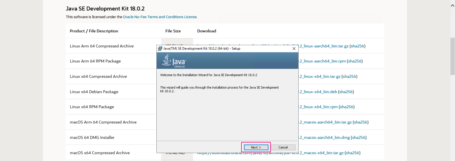 Step By Step to install & configure Java on window server 2019 base ...
